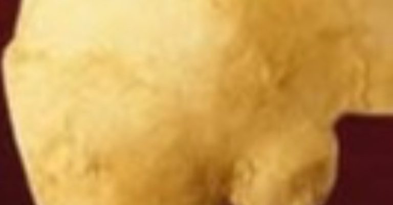 Spices to Clean Arteries and Prevent Heart Attacks – FLAVORFUL RECIPES