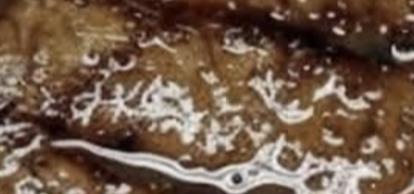 Steak & Roasted Potatoes – FLAVORFUL RECIPES